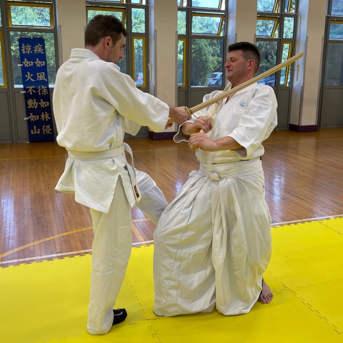 Takeda Ryu Nakamura Ha - Kendo